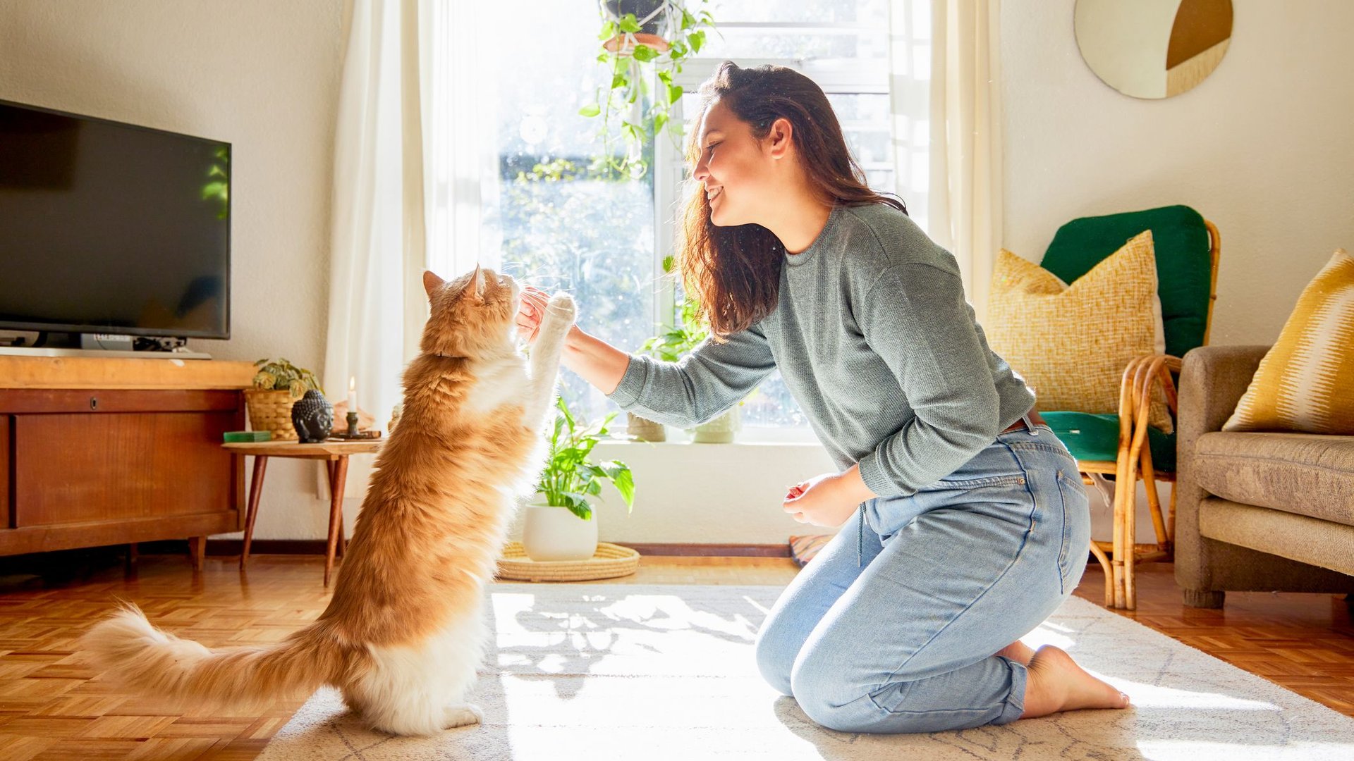 10 Verhaltensweisen, an denen du bemerkst, dass deine Katze glücklich ist