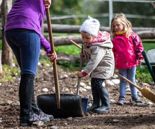 Gartenarbeit im Juni: Wer diese Tipps nicht beherzigt, wird es später ...