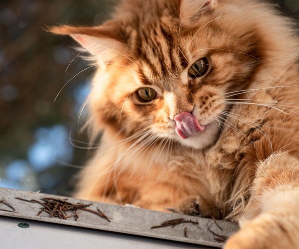 Bodyshaming – Wenn der Körper zum größten Feind deines Kindes wird