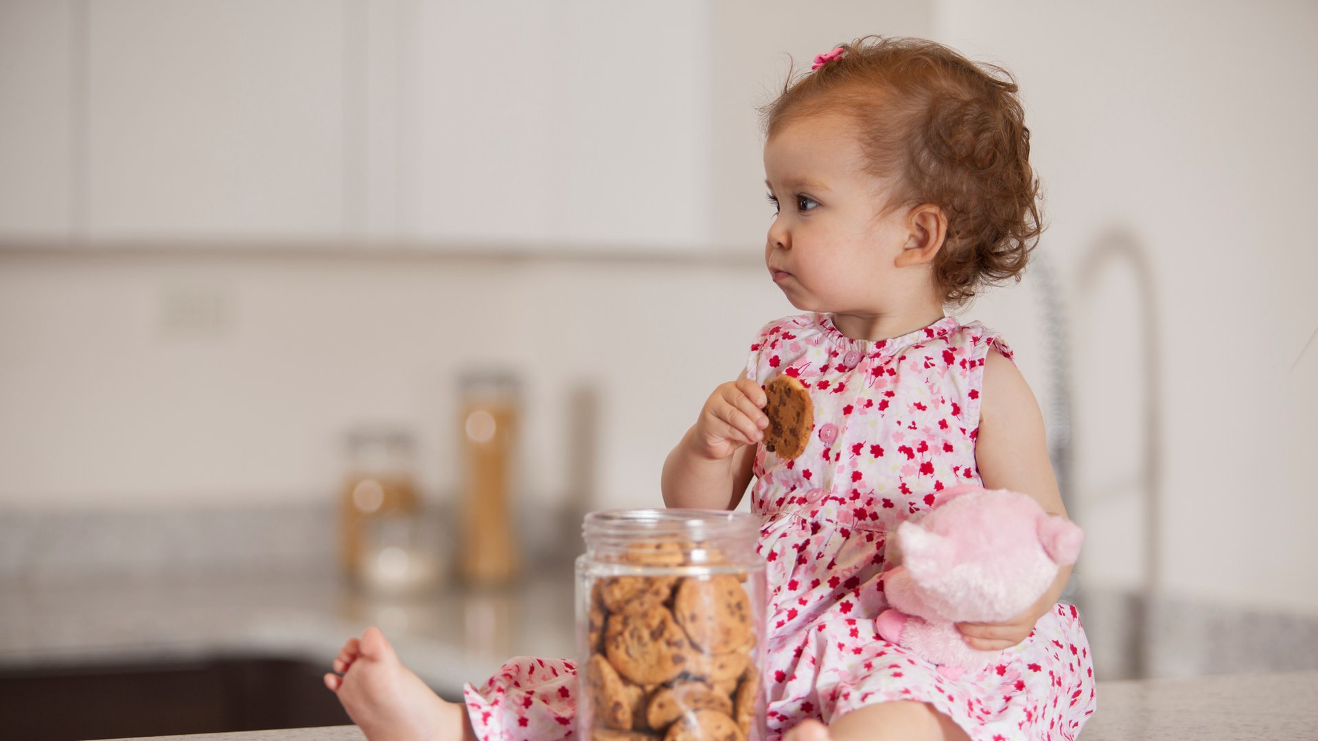 Keks fürs Baby: Das knusprige Etwas für zwischendurch Knus