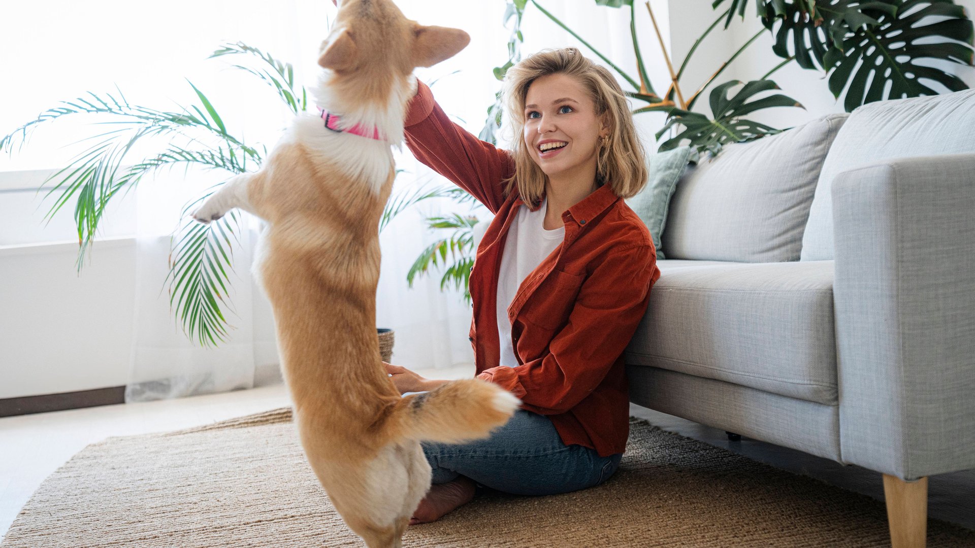 Dieser Fressnapf-Ball hält deinen Hund fit – auch wenn du auf der Couch ...