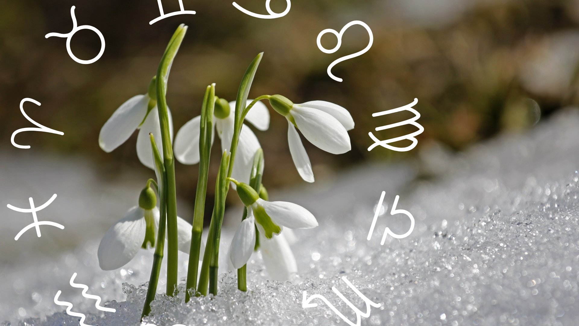 Der Februar bringt für diese 3 Sternzeichen neue Wendepunkte