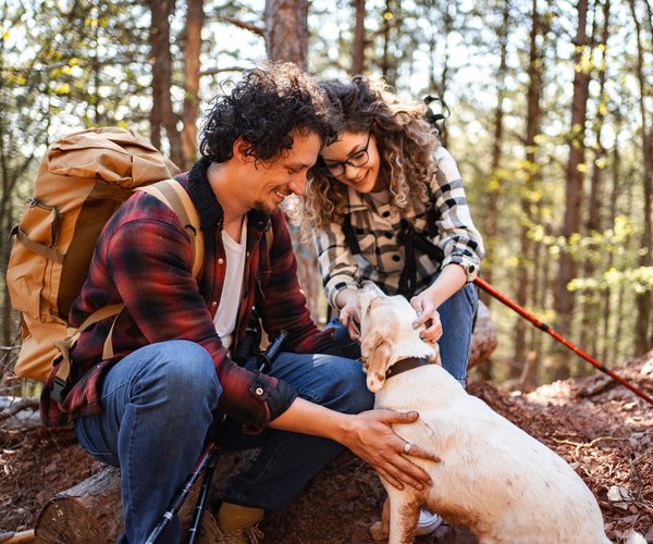 "Null Problemo!": 15 coole Alf-Sprüche aus der Kult-Serie der 80er