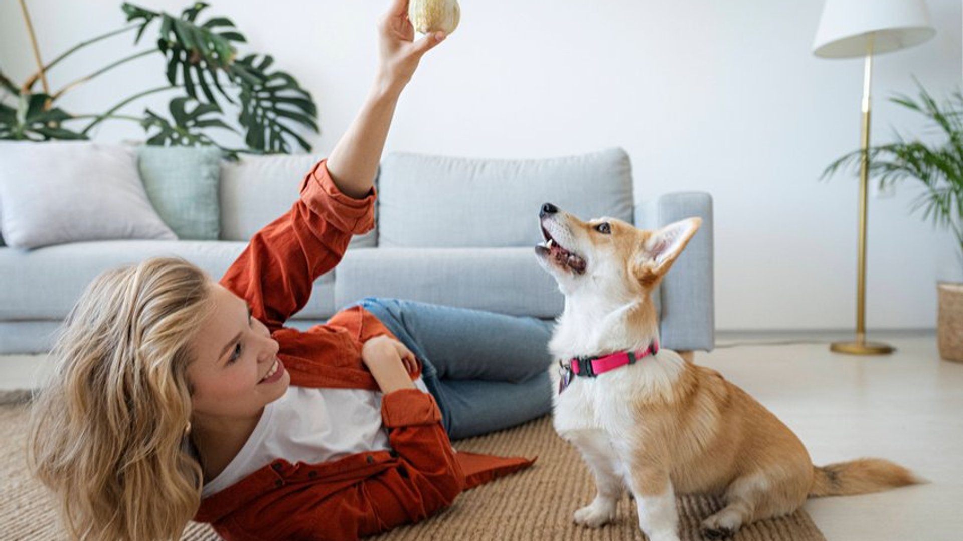 Dieses Intelligenzspielzeug von Fressnapf beschäftigt deinen Hund über ...