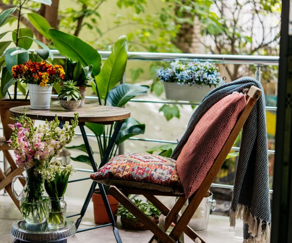 Über unsere Fellies: Wie alt werden Berner Sennenhunde?