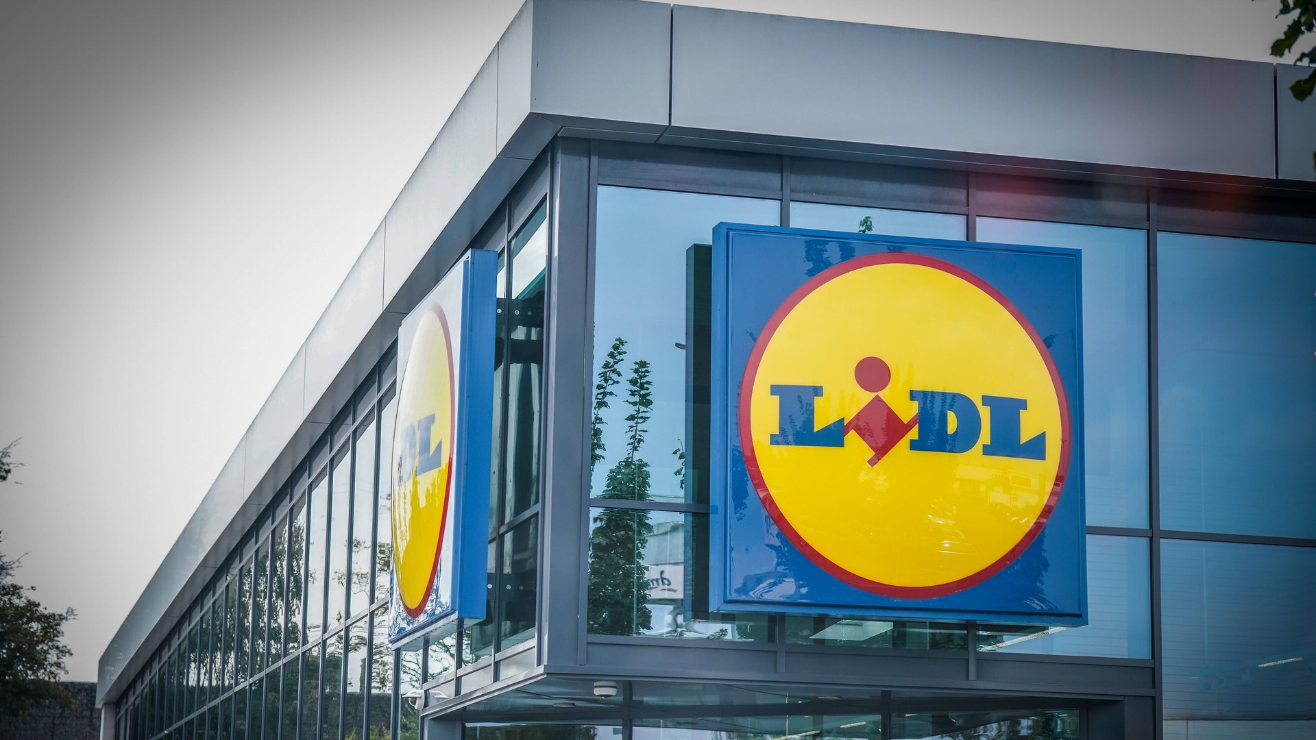 Designer-Look zum Discounterpreis: Dieses Lidl-Set macht deinen Garten ...