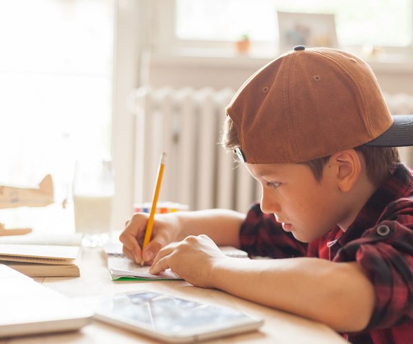 Tiere mit „M“: Welche Tiere fangen mit diesem Buchstaben an?