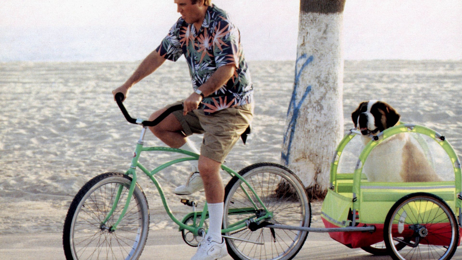 Ab heute neu auf Netflix: Diese tollen Kinderfilme und -serien starten ...