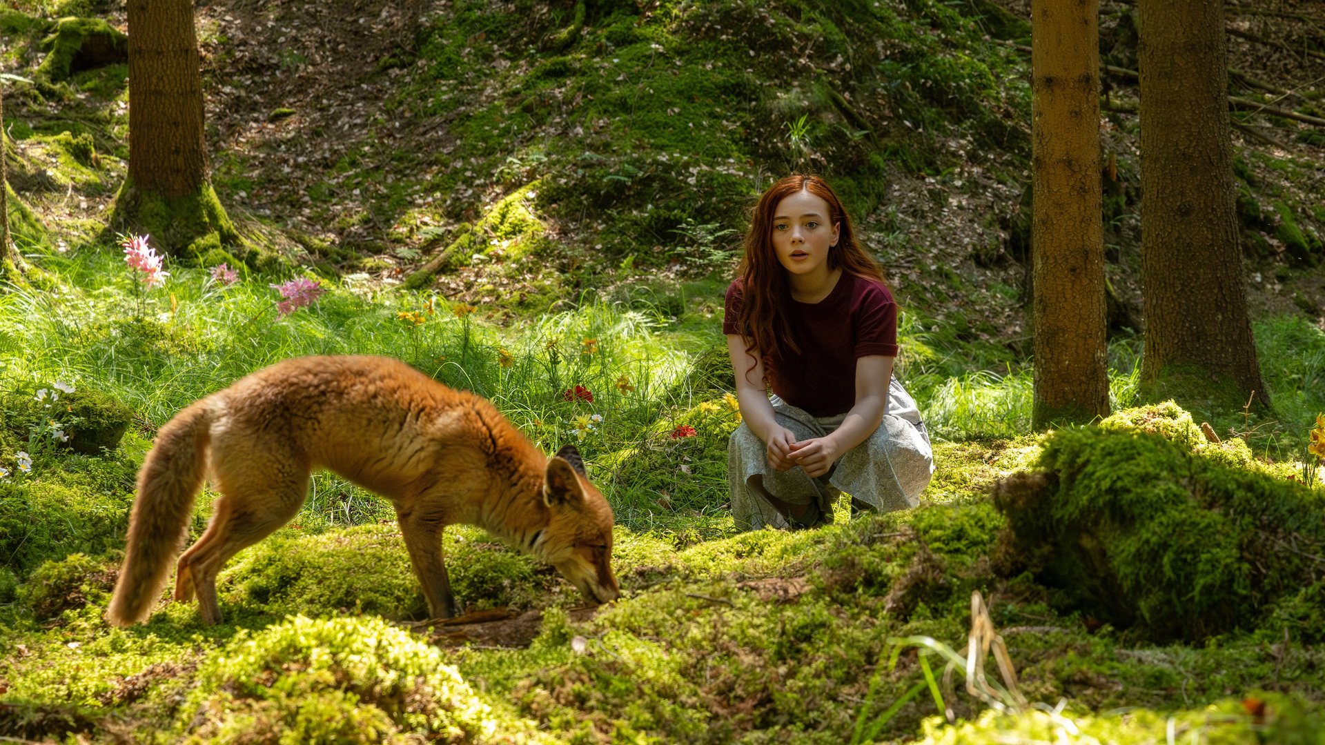 "Ein Mädchen namens Willow": Die Schule der magischen Tiere mit Hexen