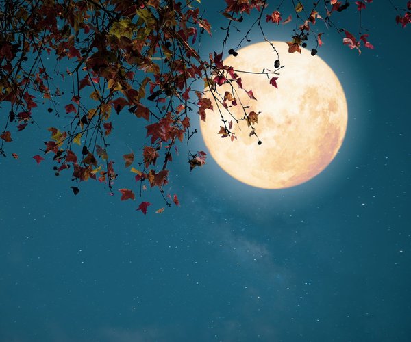 Was ist eigentlich der Unterschied zwischen Boot und Schiff?