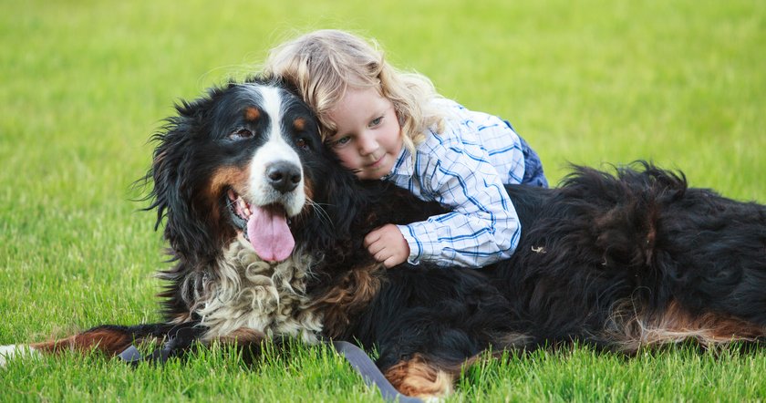 Familienfreundliche Hunde: 10 geeignete Rassen für Groß & Klein