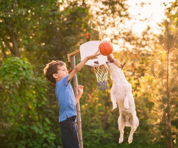 Die beliebtesten Kinderserien der 2000er: Baumeister und Co.