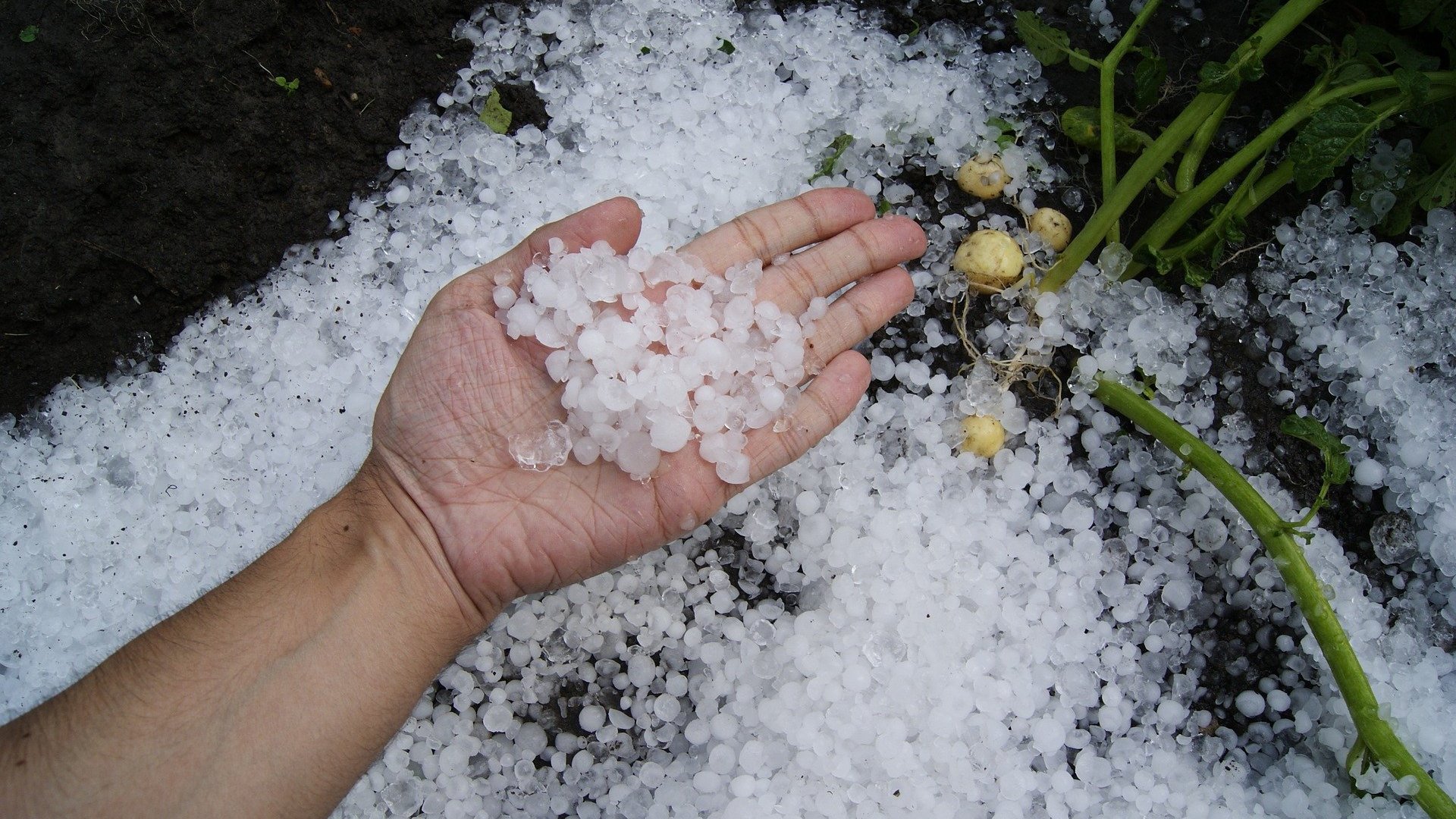 Wie entsteht Hagel? Wenn Eiskugeln vom Himmel fallen