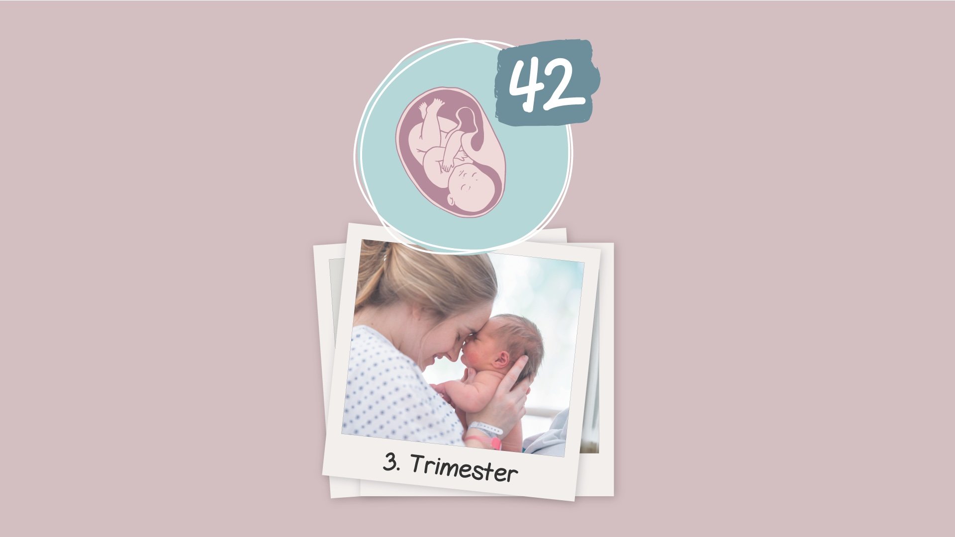 42. SSW: Hallo, Baby? Spätestens jetzt fällt das Stichwort ...