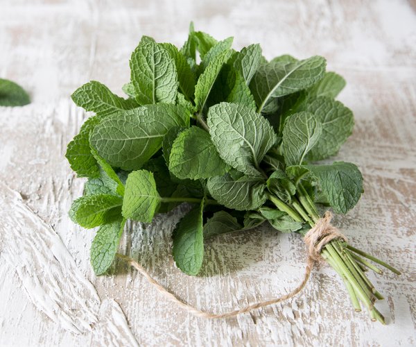 Barbara Eisner - Online Editor