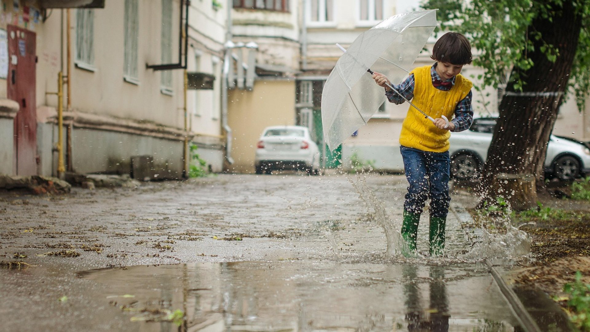 Was ist saurer Regen? Einfach erklärt für Kinder