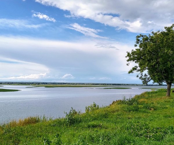 So funktioniert der Tiptoi Download Manager