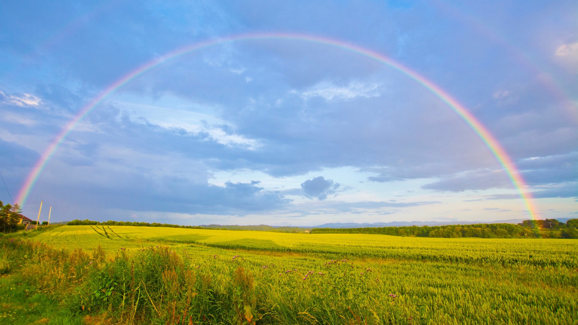 Diese Reihenfolge haben beim Regenbogen die Farben
