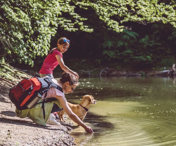 "Null Problemo!": 15 coole Alf-Sprüche aus der Kult-Serie der 80er