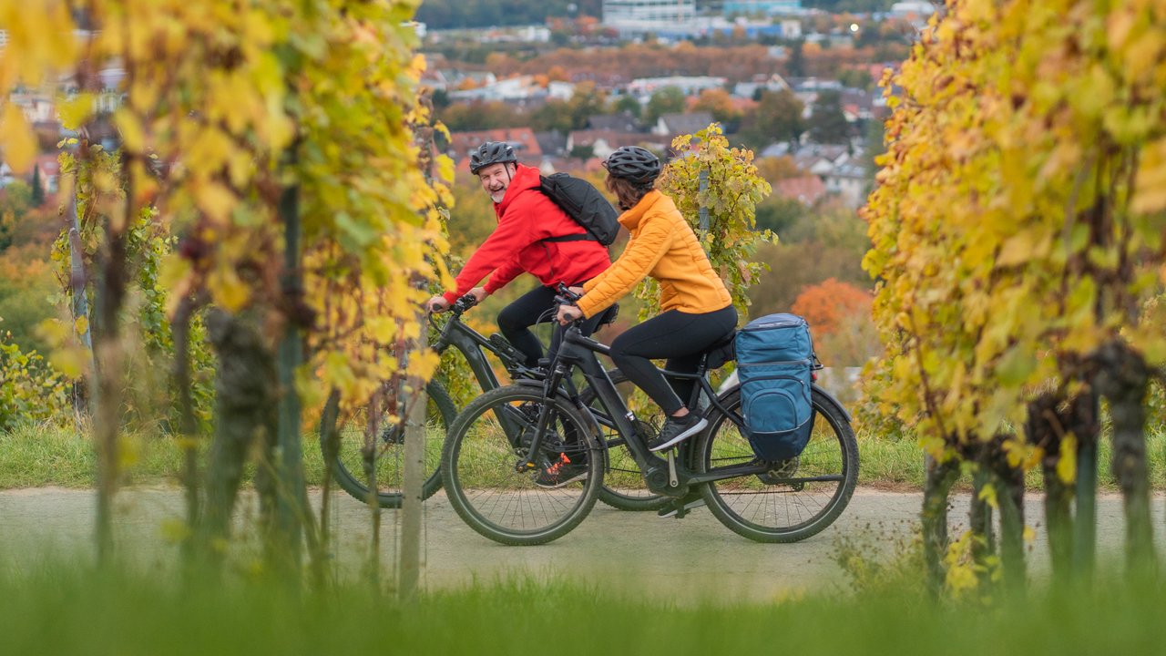 Winter-Probleme beim E-Bike? Diese Akku-Schutzhülle löst sie für kleines Geld