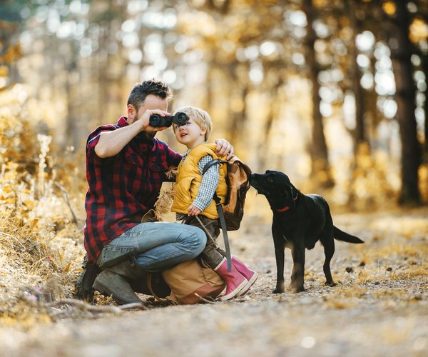 Angelika Zahn - Online Editor