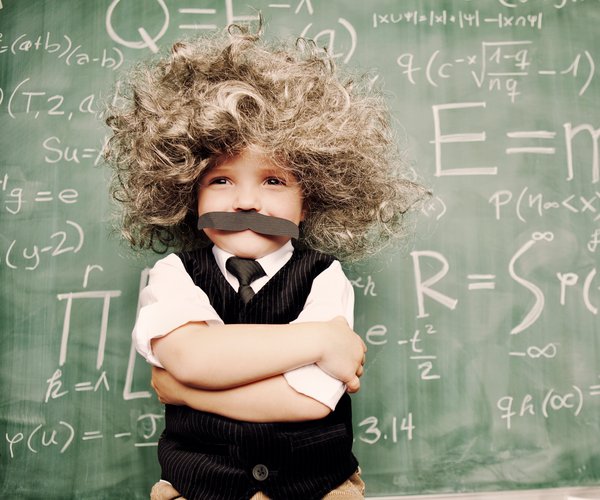 Was ist der Unterschied zwischen Damwild und Rotwild?