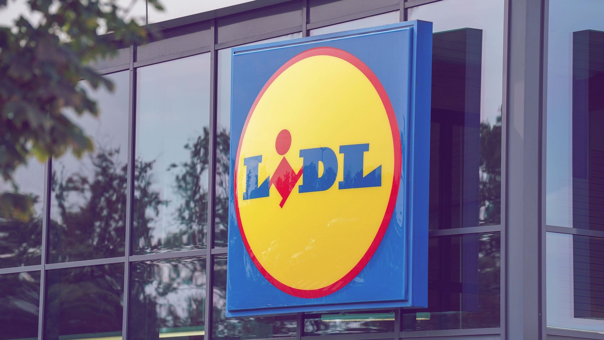 Boho-Look: Dieser günstige Lidl-Hängesessel ist unser Sommer-Must-have