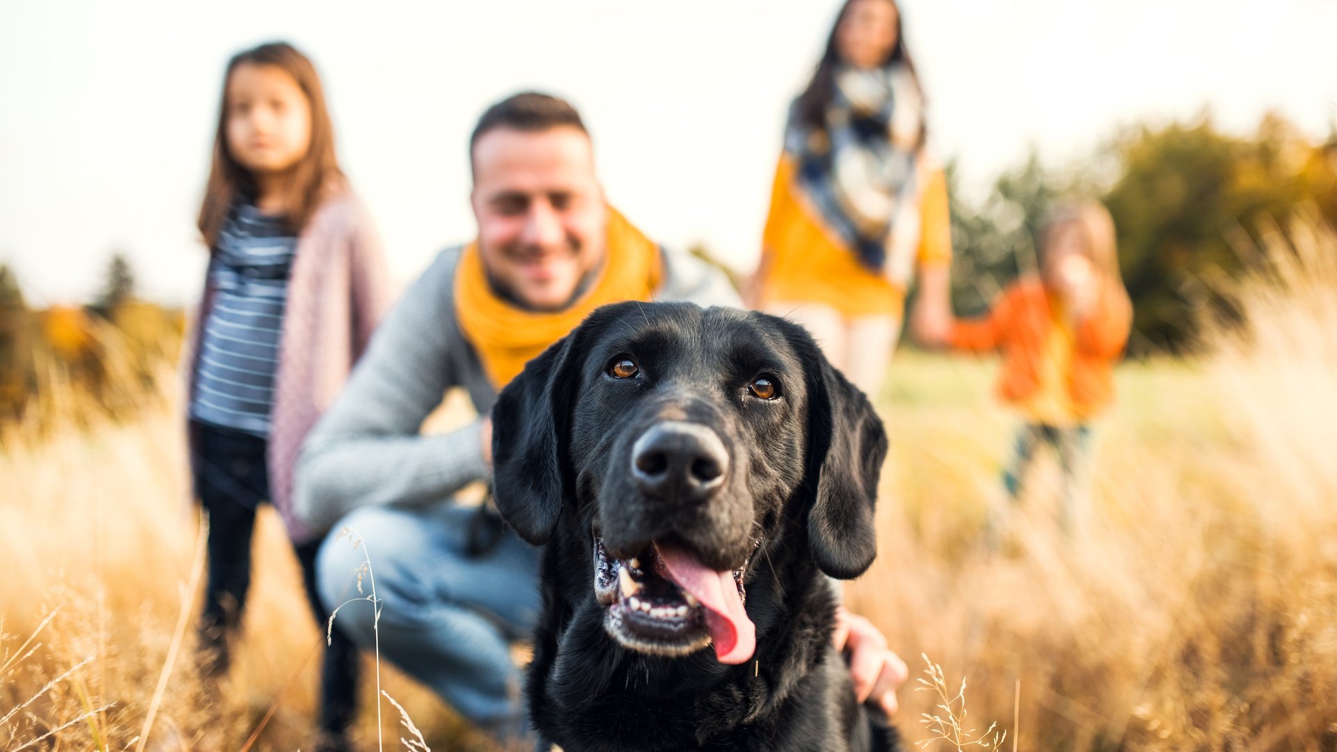 Familienfreundliche Hunde: 10 Hunderassen, die sind besonders ...