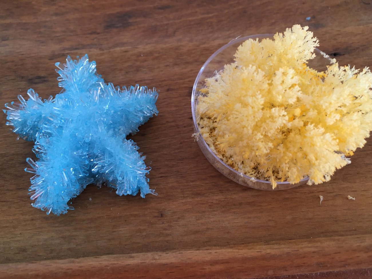 Kristalle züchten mit Kindern: Diese 5 beliebten Sets haben wir ausprobiert