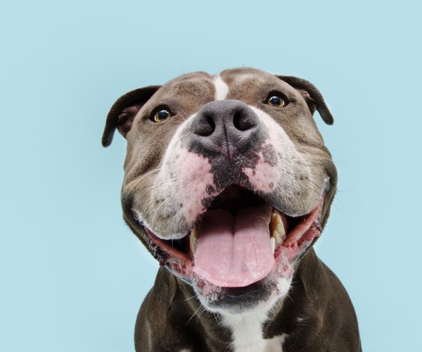 "Null Problemo!": 15 coole Alf-Sprüche aus der Kult-Serie der 80er