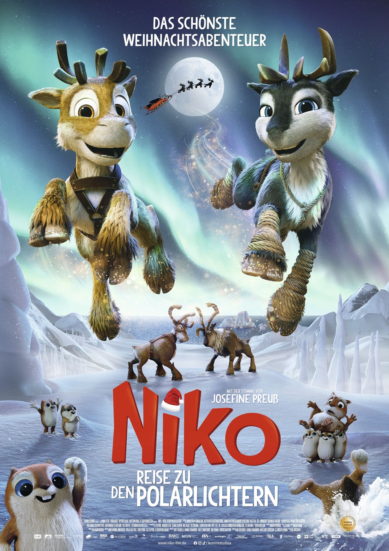 "Niko 3 – Reise zu den Polarlichtern": Neue und alte fliegende Freunde