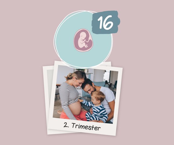 20. SSW: Kindsbewegungen und Wehwehchen