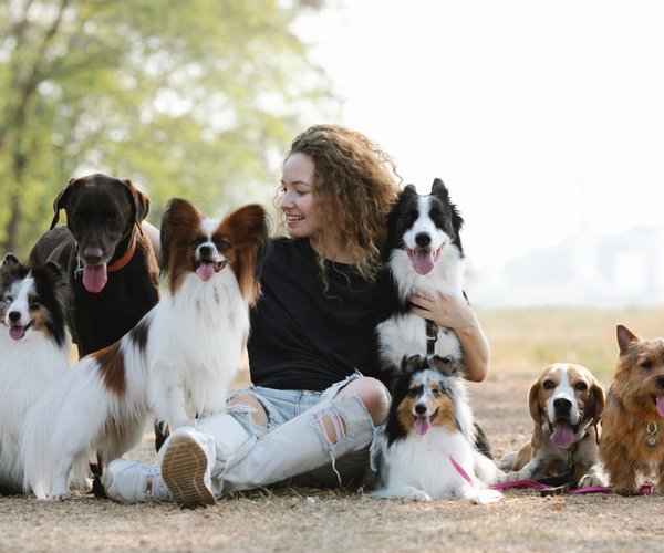 Wie lange leben Schweine?