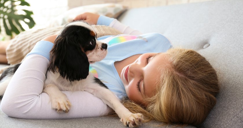 10 familienfreundliche Hunde, die perfekte Spielgefährten für eure ...