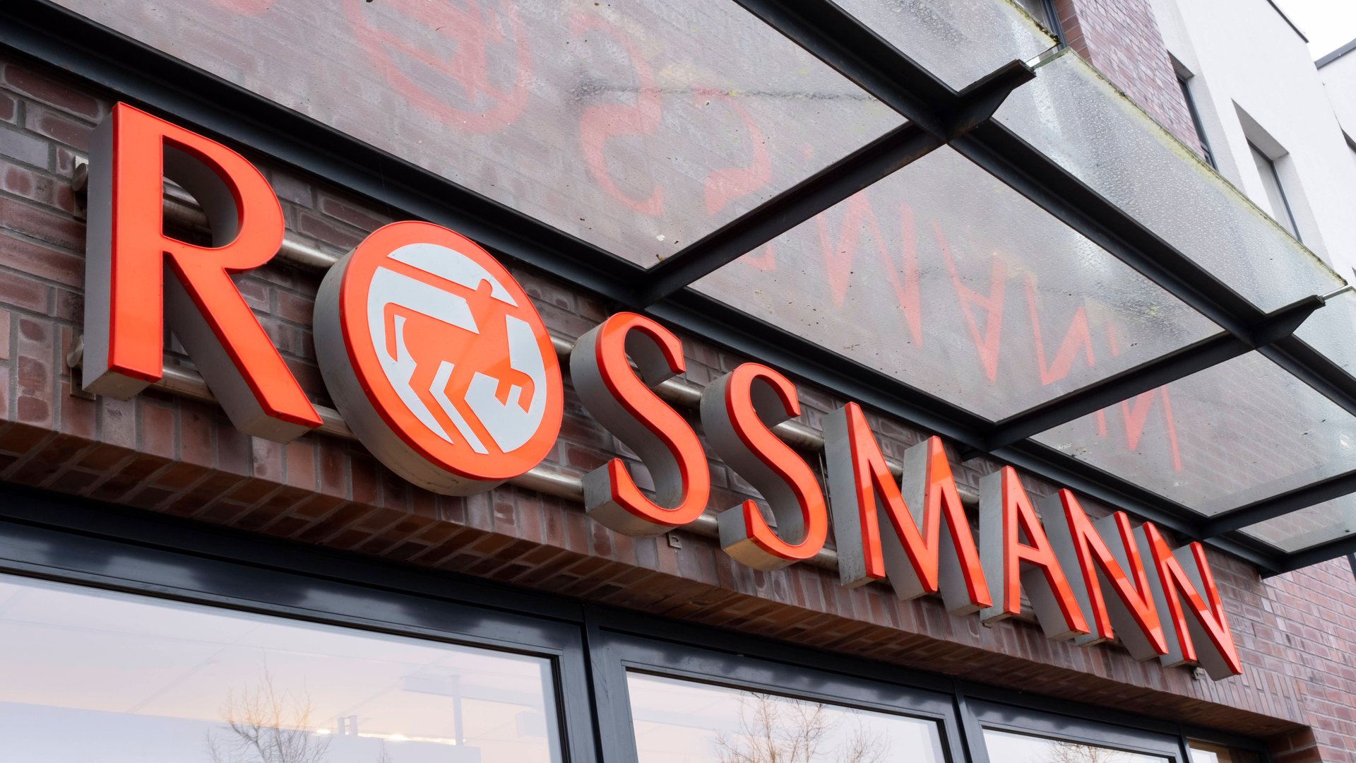 Für süße Träume: Knuffiges Hasen-LED-Nachtlicht bei Rossmann